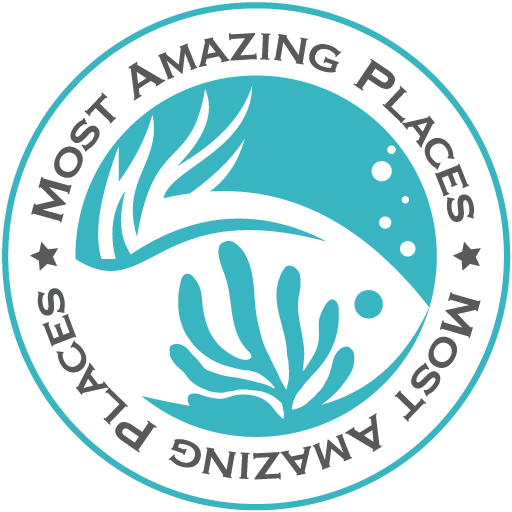 Great Barrier Reef Tours & Cruise Tickets | Compare & Save